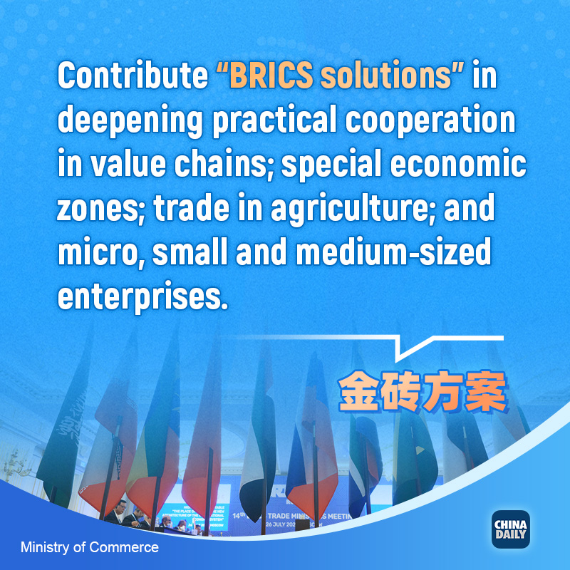 Key BRICS meeting yields fruitful results
