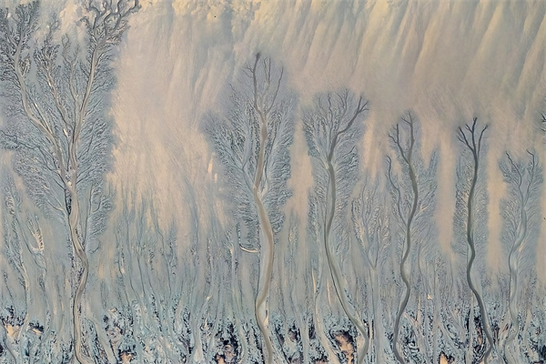 Stunning 'tidal tree' patterns on Qiantang River