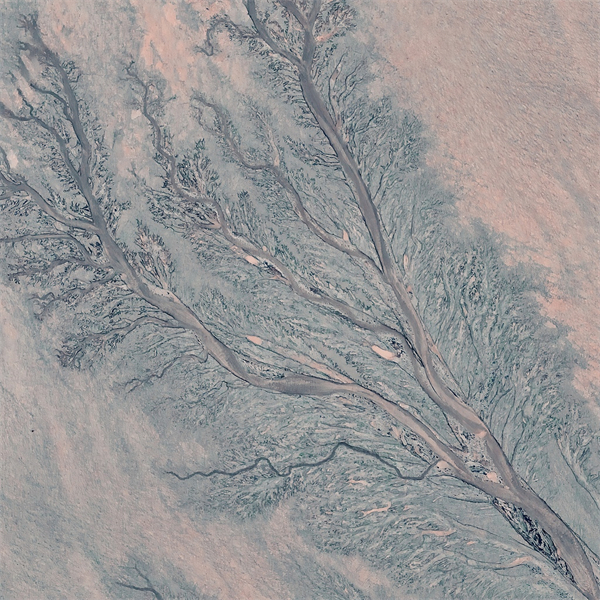 Stunning 'tidal tree' patterns on Qiantang River