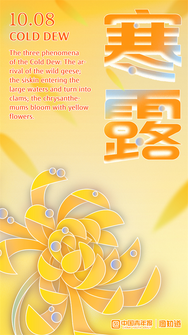 Visual Z｜Cold Dew of the 24 Solar Terms