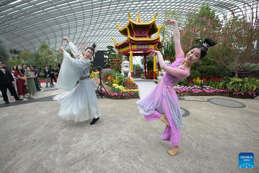 Chinese Lunar New Year floral display "Spring Blossoms" held in Singapore
